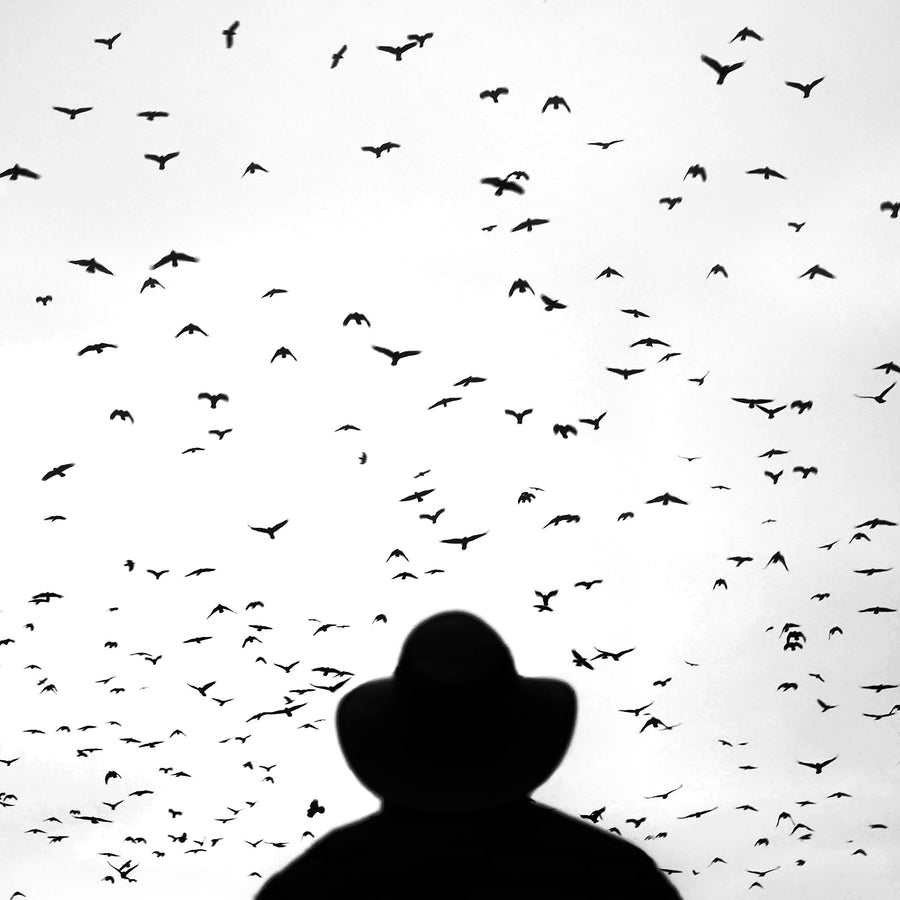 Crows, Portland, Oregon · Artful Home