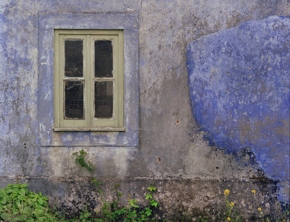 Green Window Blue Wall 38 · Artful Home