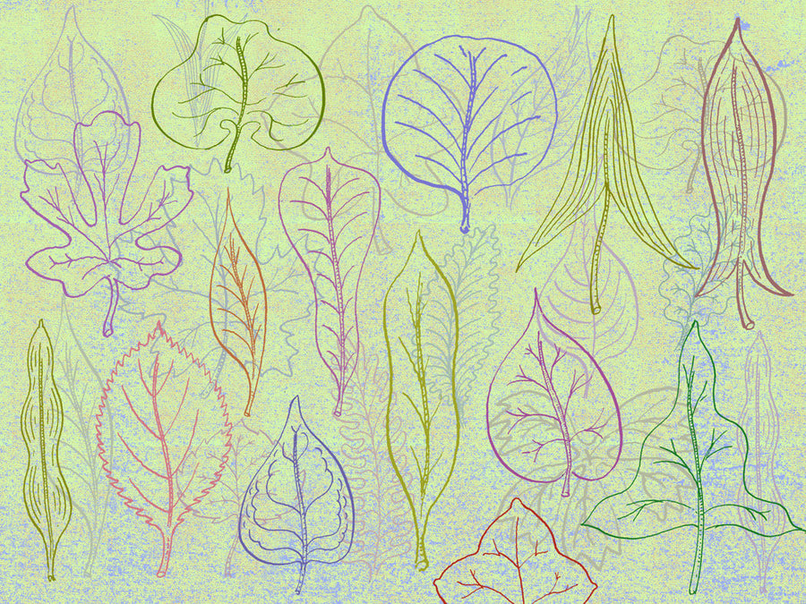Leaf Forms 2 · Artful Home