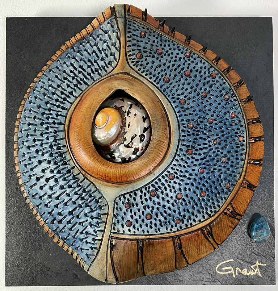 Windows to the Earth - African Turbo Shell · Artful Home