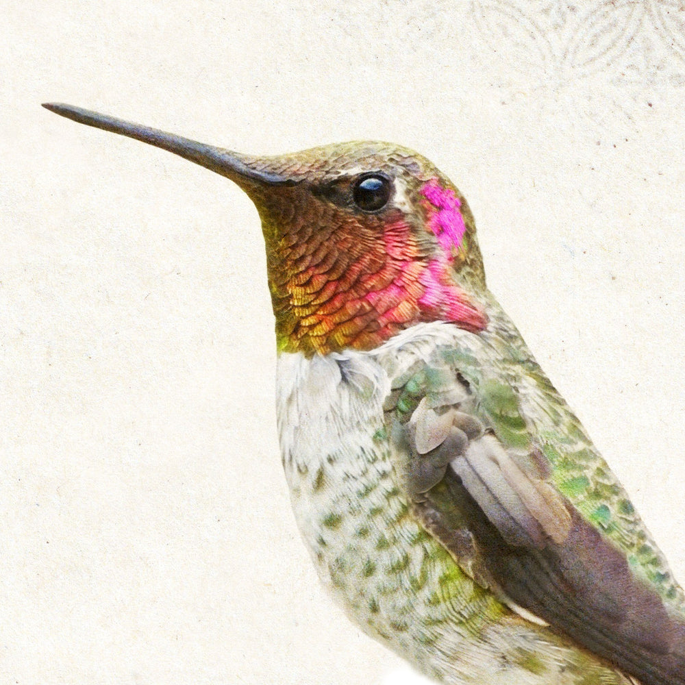 Gaze into Your Eyes III · Artful Home