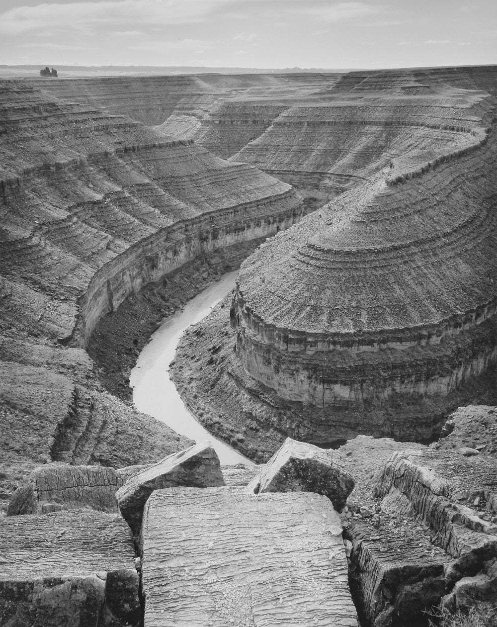 The Goosenecks · Artful Home