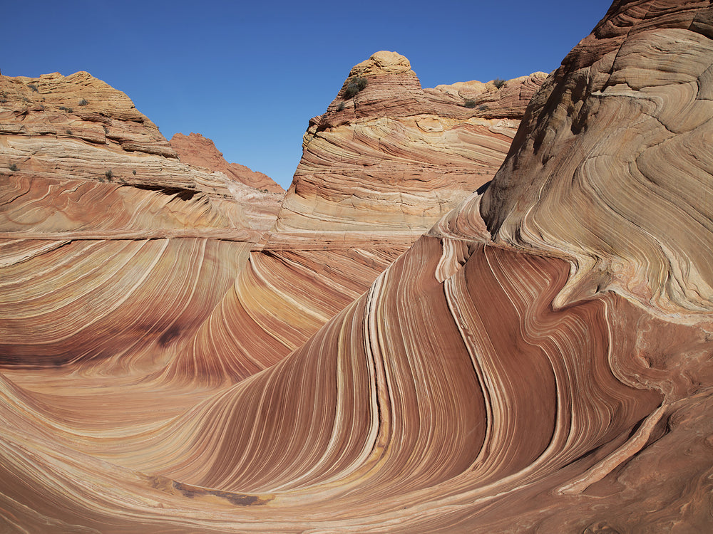 The Wave · Artful Home