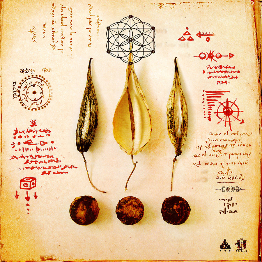 Three Spells · Artful Home