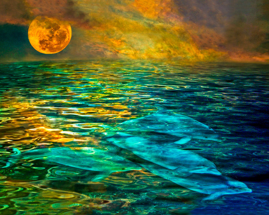 Moon Dolphins · Artful Home